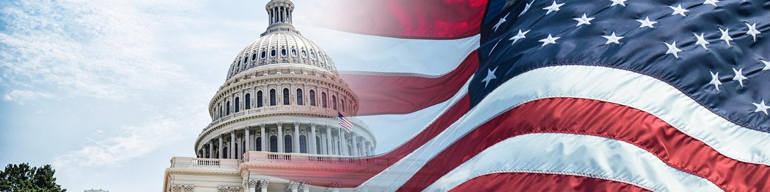 The Impact of the Department of Government Efficiency on Government ...